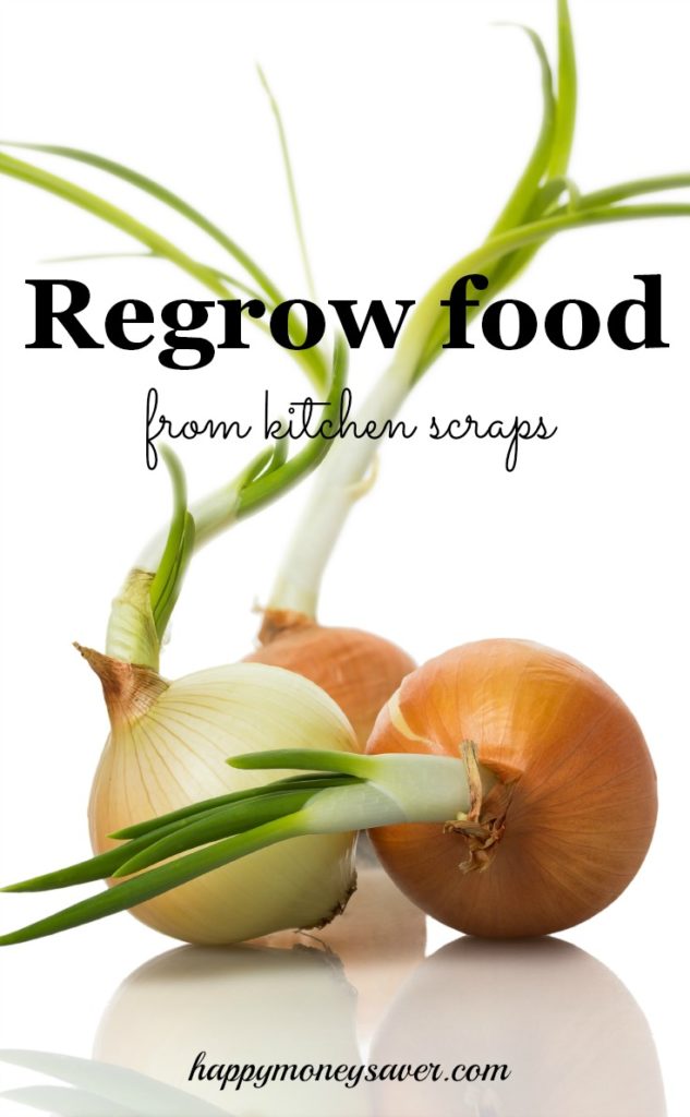 Regrow Food from Scraps