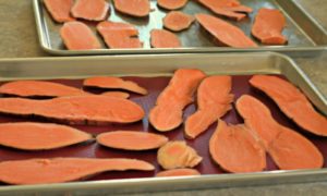 All Natural Homemade Dog Chews - SO EASY!!!