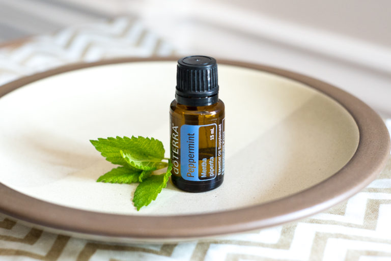 Get rid of Spiders for good with this All Natural Spider Spray