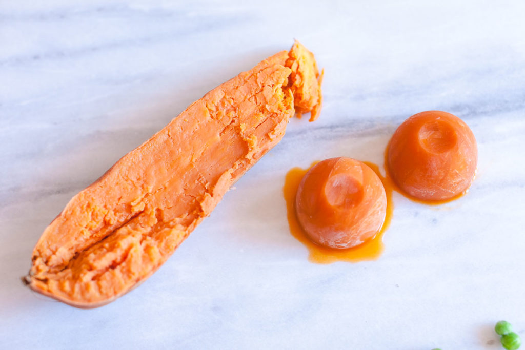 Homemade Make Ahead and Freeze Baby Food - Happy Money Saver