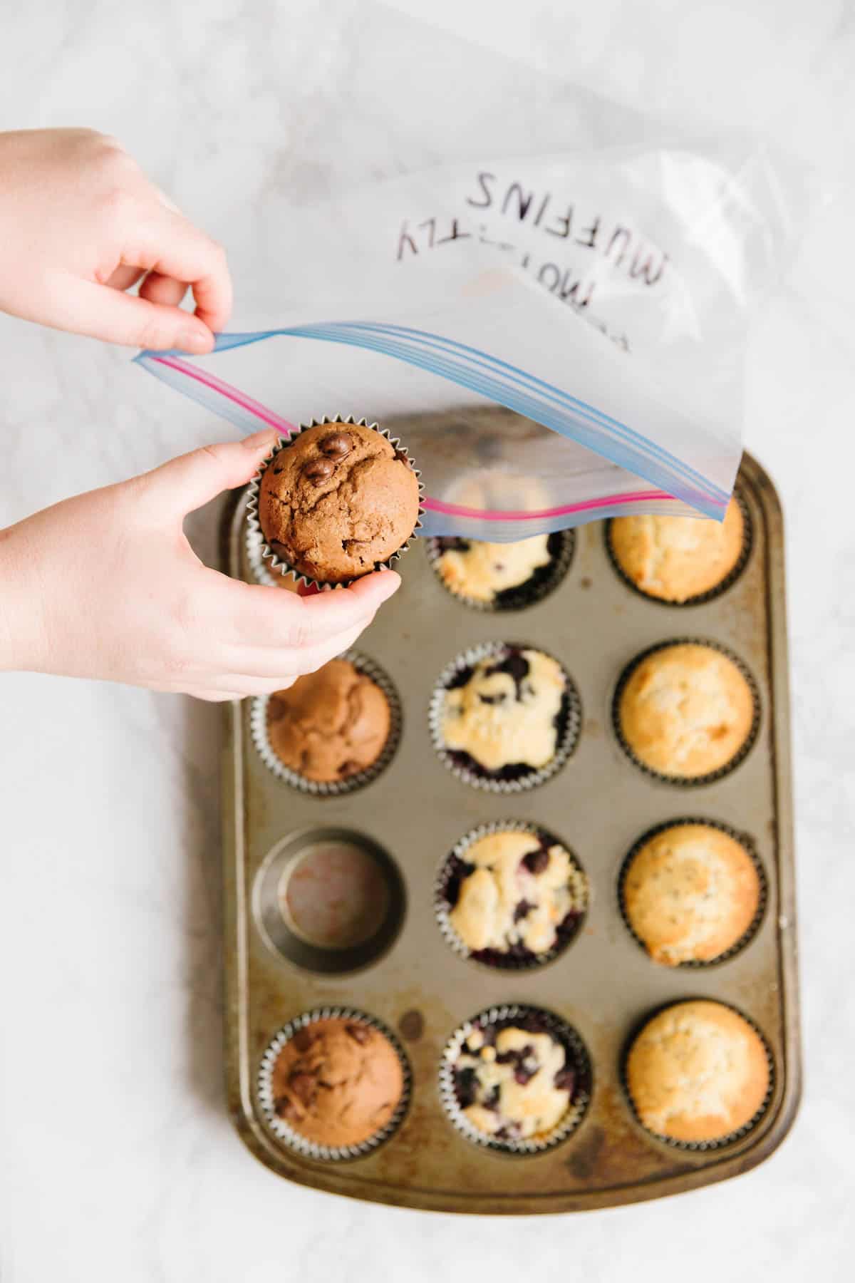 Basic Muffin Recipe (With Variations!) - Happy Money Saver